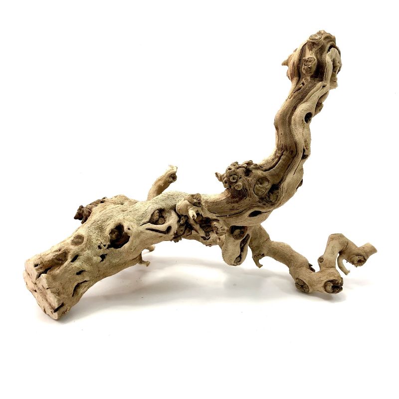 Weinrebe Grapevine von Lucky Reptile – Natürliche Terrariendeko