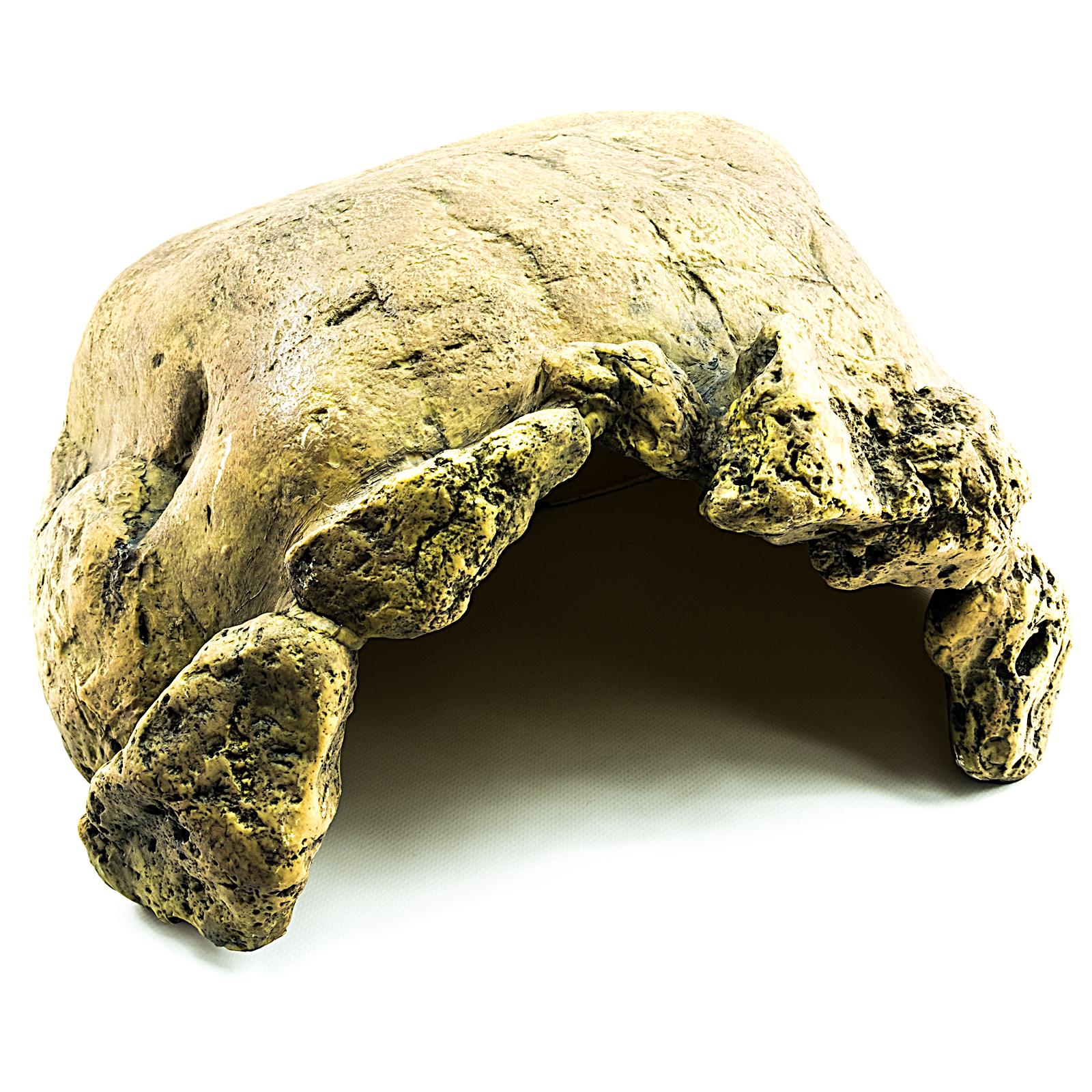 Exo Terra Tortoise Cave: Große, Hygienische Landschildkrötenhöhle